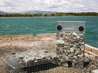 La gamme Biohut - Nappex