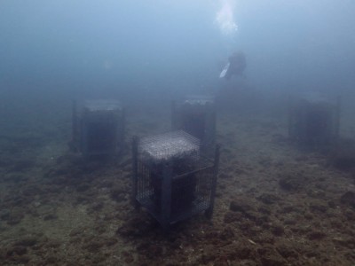 La gamme Biohut - Nappex