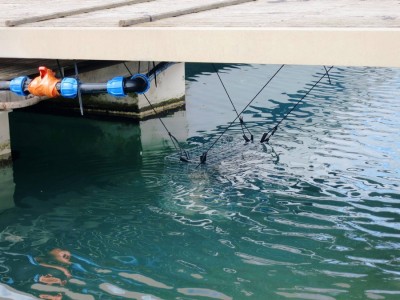 La gamme Biohut - Nappex